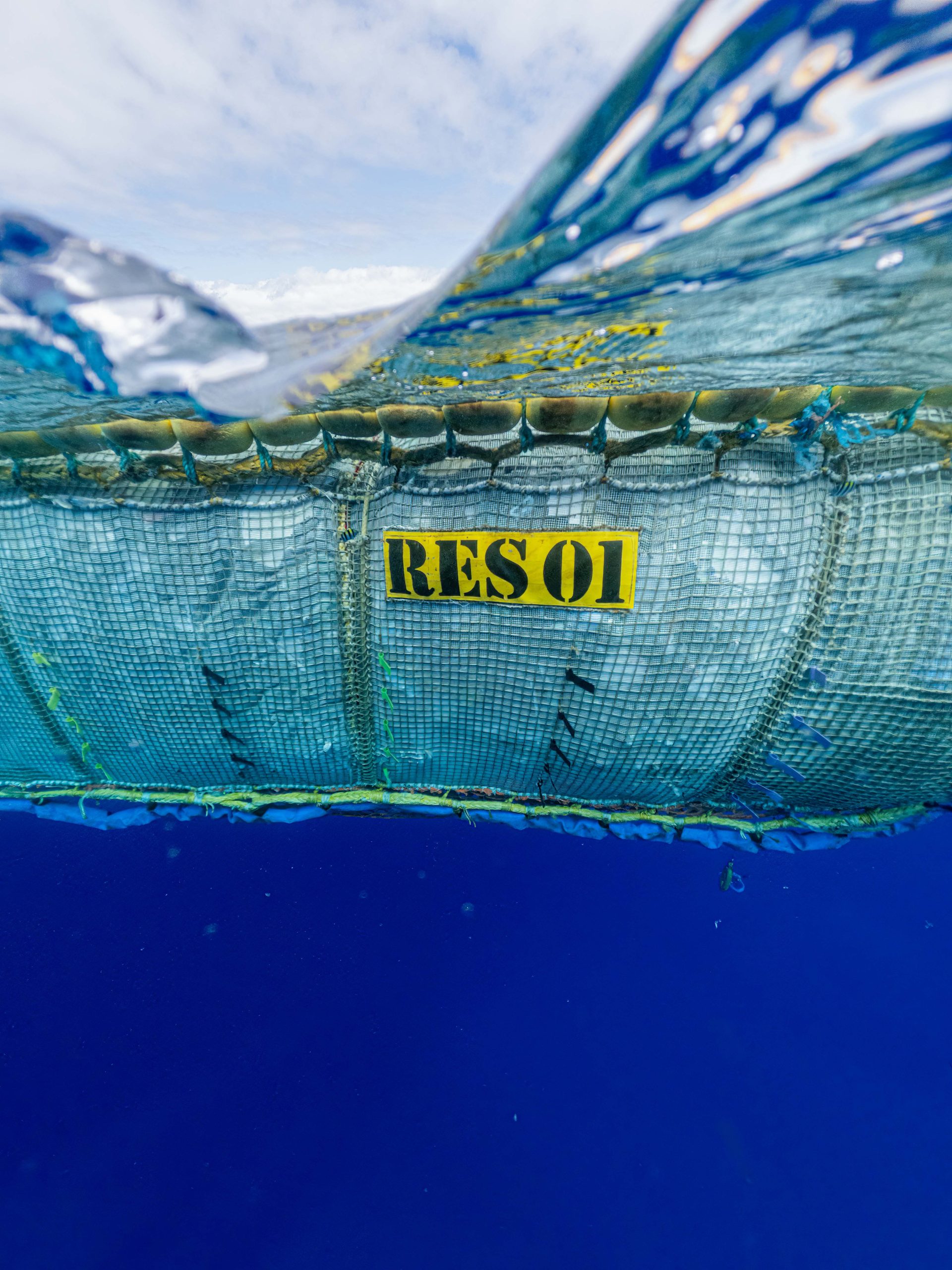 C:DCIM100GOPROG0100140.GPR - Toby Harriman